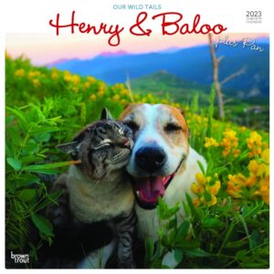 henry & baloo our wild tails 2023 square