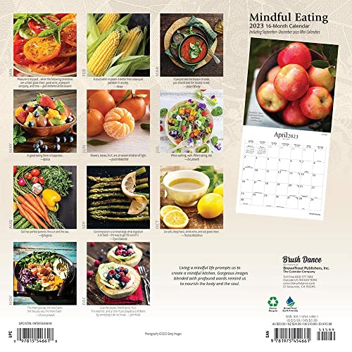 Mindful Eating | 2023 12 x 24 Inch Monthly Square Wall Calendar | Brush Dance | Images Photography Kitchen Food