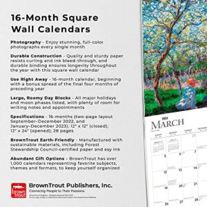 Claude Monet | 2023 12 x 24 Inch Monthly Square Wall Calendar | Foil Stamped Cover | BrownTrout | Impressionism Artist Paintings