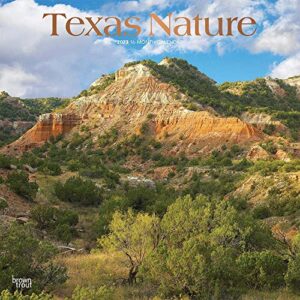 texas nature | 2023 12 x 24 inch monthly square wall calendar | foil stamped cover | browntrout | usa united states of america southwest state wilderness