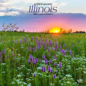 illinois wild & scenic | 2024 12 x 24 inch monthly square wall calendar | browntrout | usa united states of america midwest state nature