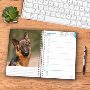 German Shepherds | 2023 6 x 7.75 Inch Spiral-Bound Wire-O Weekly Engagement Planner Calendar | New Full-Color Image Every Week | BrownTrout | Animals Dog Breeds Pets