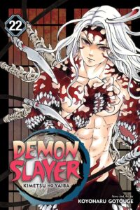 demon slayer: kimetsu no yaiba, vol. 22 (22)