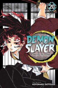 demon slayer: kimetsu no yaiba, vol. 20 (20)