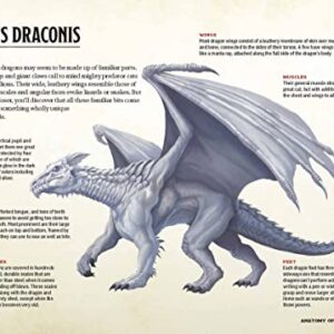 Dragons & Treasures (Dungeons & Dragons): A Young Adventurer's Guide (Dungeons & Dragons Young Adventurer's Guides)