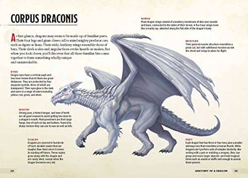 Dragons & Treasures (Dungeons & Dragons): A Young Adventurer's Guide (Dungeons & Dragons Young Adventurer's Guides)