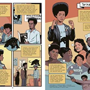 The Black Panther Party: A Graphic Novel History