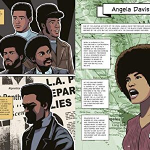 The Black Panther Party: A Graphic Novel History