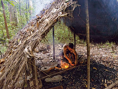 Primitive Technology: A Survivalist's Guide to Building Tools, Shelters, and More in the Wild