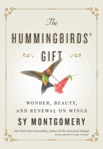 the hummingbirds' gift: wonder, beauty, and renewal on wings