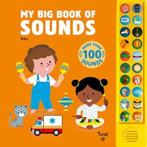 my big book of sounds: more than 100 sounds