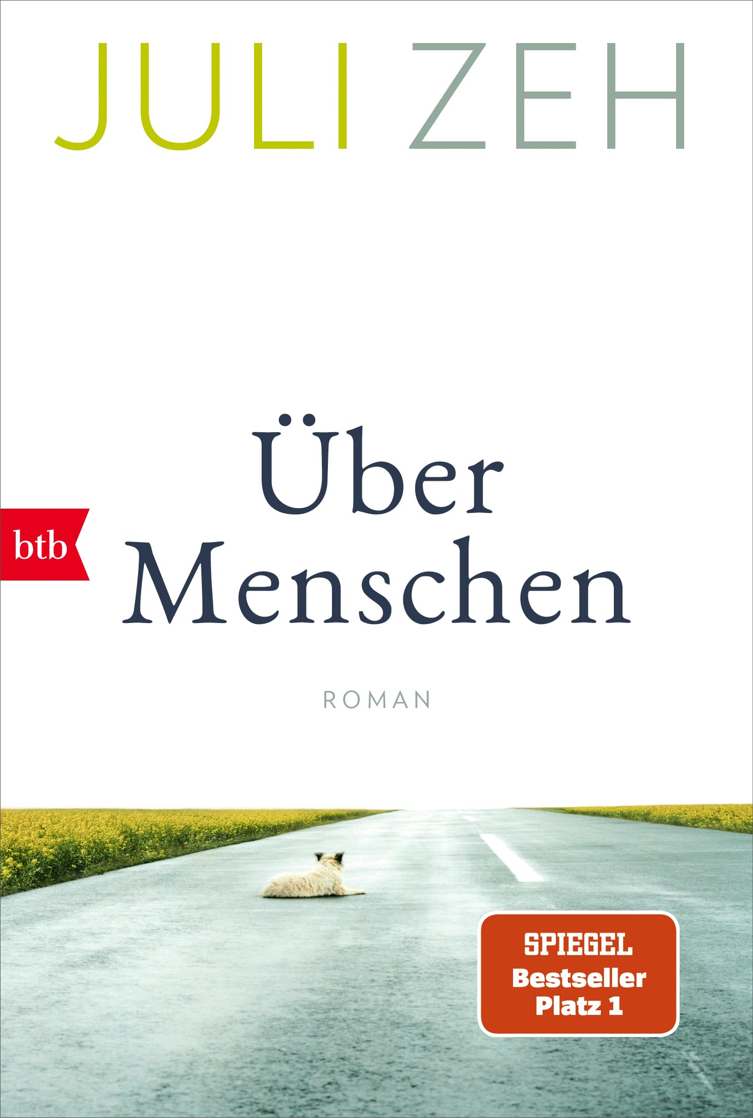 Über Menschen: Roman