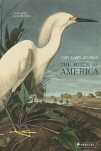 the birds of america