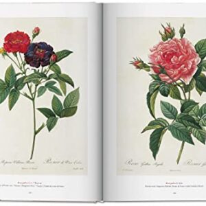 Redouté: The Book of Flowers / Das Buch de Blumen / Le livre des fleurs