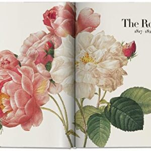 Redouté: The Book of Flowers / Das Buch de Blumen / Le livre des fleurs