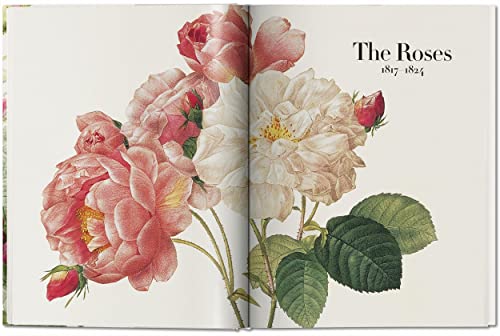 Redouté: The Book of Flowers / Das Buch de Blumen / Le livre des fleurs