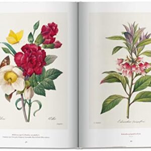 Redouté: The Book of Flowers / Das Buch de Blumen / Le livre des fleurs