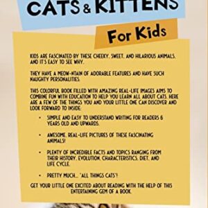 All Things Cats & Kittens For Kids: Filled With Plenty of Facts, Photos, and Fun to Learn all About Cats