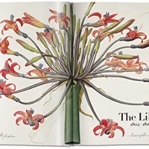 Redouté: The Book of Flowers / Das Buch de Blumen / Le livre des fleurs