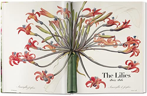 Redouté: The Book of Flowers / Das Buch de Blumen / Le livre des fleurs