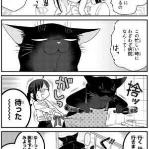 デキる猫は今日も憂鬱(7) (ワイドKC) Comic – February 9, 2023