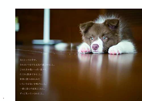 犬のいる暮らし 一生パートナーでいるために知っておきたいこと