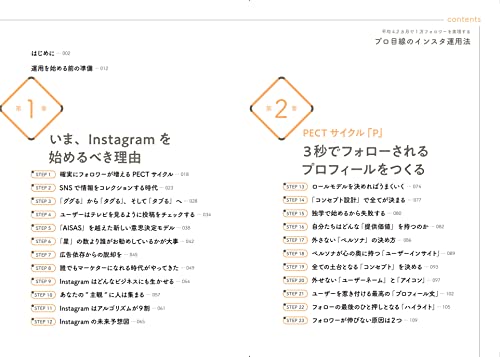 平均4.2カ月で1万フォロワーを実現する　プロ目線のインスタ運用法（Instagramマーケティング)