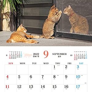 そとねこ (インプレスカレンダー2022)