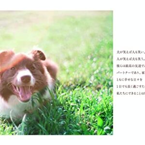 犬のいる暮らし 一生パートナーでいるために知っておきたいこと