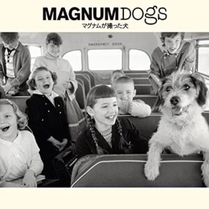 MAGNUM DOGS マグナムが撮った犬