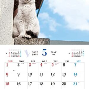 そとねこ (インプレスカレンダー2022)