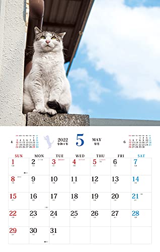 そとねこ (インプレスカレンダー2022)