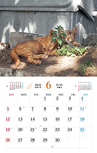 そとねこ (インプレスカレンダー2022)