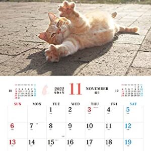 そとねこ (インプレスカレンダー2022)