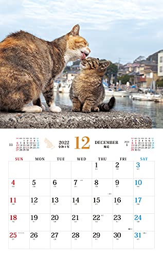 そとねこ (インプレスカレンダー2022)