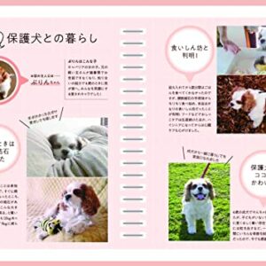 犬のいる暮らし 一生パートナーでいるために知っておきたいこと