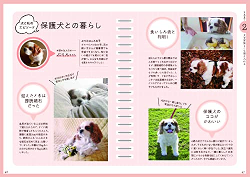 犬のいる暮らし 一生パートナーでいるために知っておきたいこと