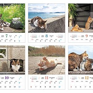 そとねこ (インプレスカレンダー2022)