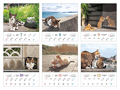 そとねこ (インプレスカレンダー2022)