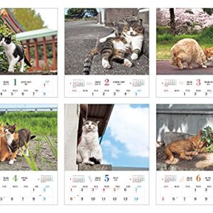 そとねこ (インプレスカレンダー2022)