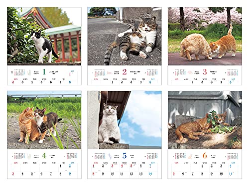 そとねこ (インプレスカレンダー2022)