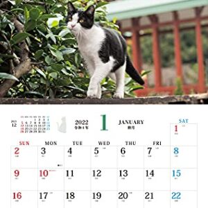 そとねこ (インプレスカレンダー2022)