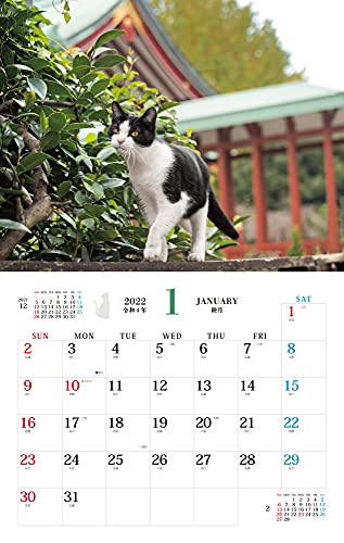 そとねこ (インプレスカレンダー2022)