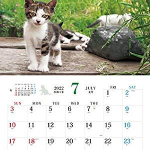 そとねこ (インプレスカレンダー2022)