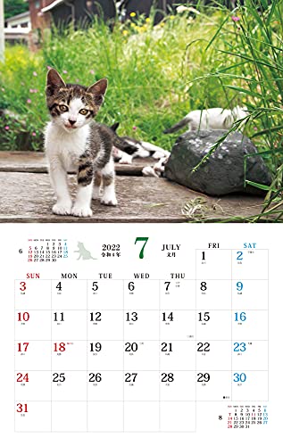 そとねこ (インプレスカレンダー2022)