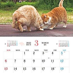 そとねこ (インプレスカレンダー2022)