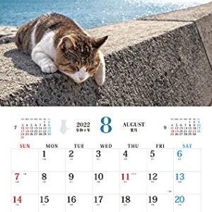 そとねこ (インプレスカレンダー2022)