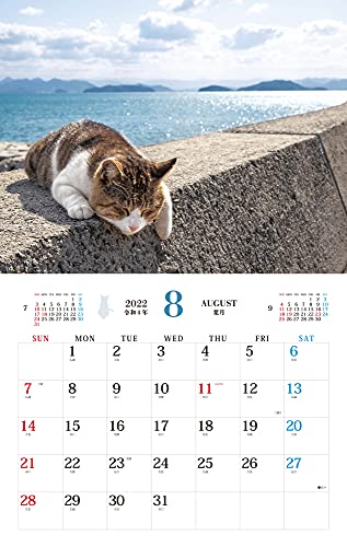 そとねこ (インプレスカレンダー2022)