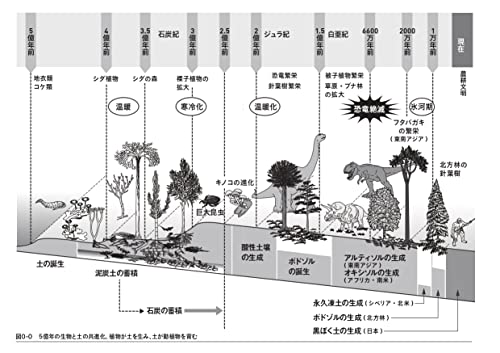 ヤマケイ文庫 大地の五億年 せめぎあう土と生き物たち