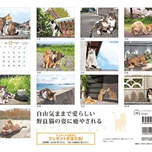 そとねこ (インプレスカレンダー2022)